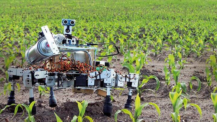 AI Is Making Smart Farms a Reality | Dogtown Media